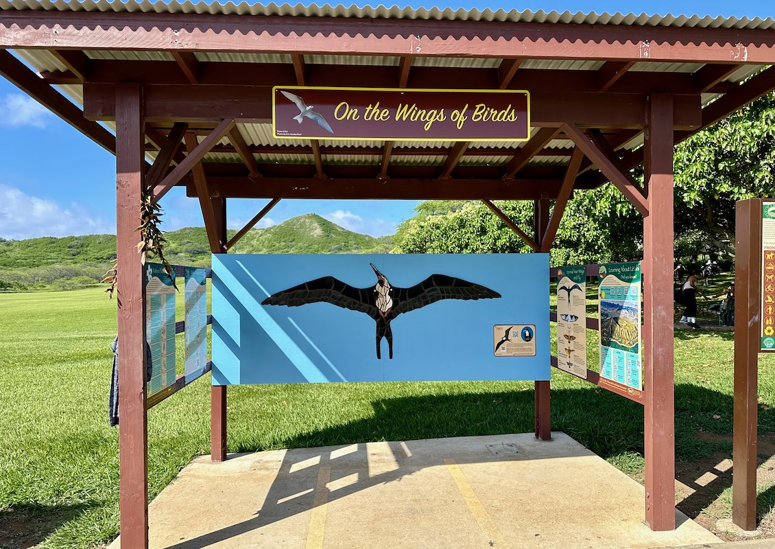 Hike Diamond Head: Helpful Hints to Get You to the Top